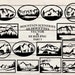Mountain SVG, Mountain Scenery SVG Cut Files Mountain Silhouette SVG ...
