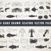 Hand Drawn Seafood, Sea, Fishing Clipart, Fish Clipart, Marine, Ocean ...