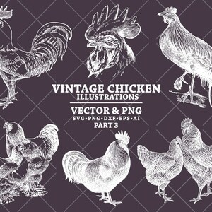 Pollo SVG Dibujo de pollo vintage Ilustración de pollo - Etsy México