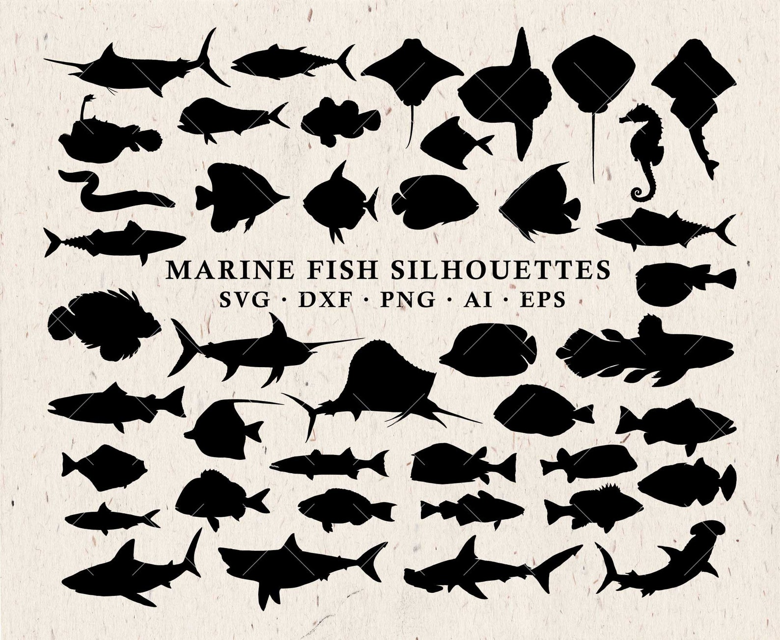 Marine SVG & Fish SVG Silhouettes fishing SVG Sea Animals - Etsy
