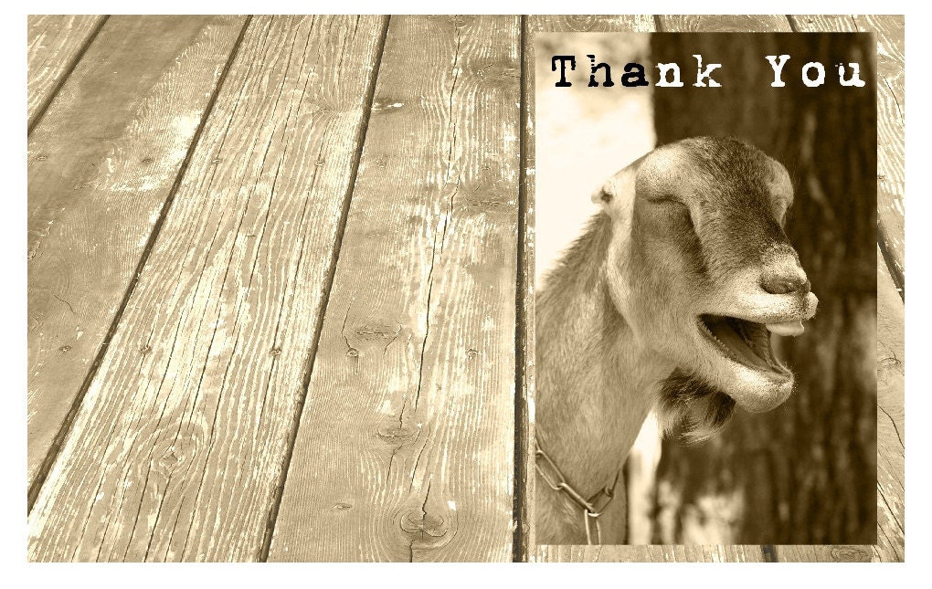 Goat Thank You Card Farm Thank You Birthday Thank You | Etsy