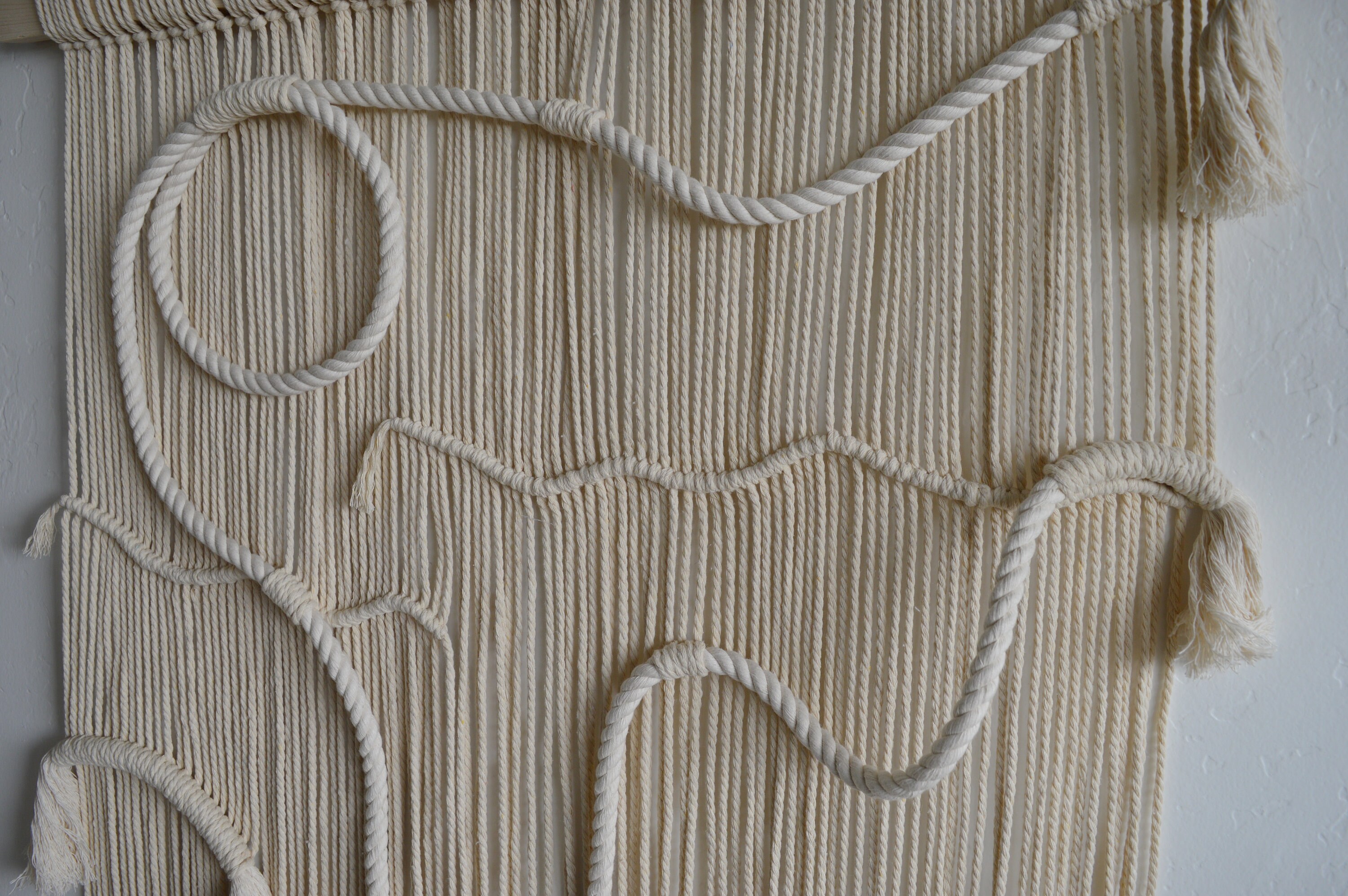 Rope Sculpture Macrame Wall Hanging - Etsy
