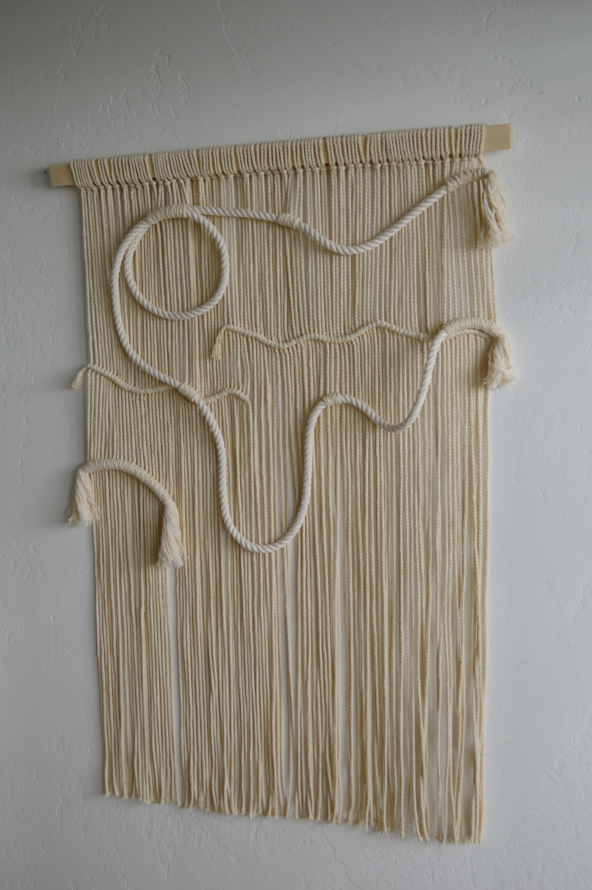 Rope Sculpture Macrame Wall Hanging - Etsy