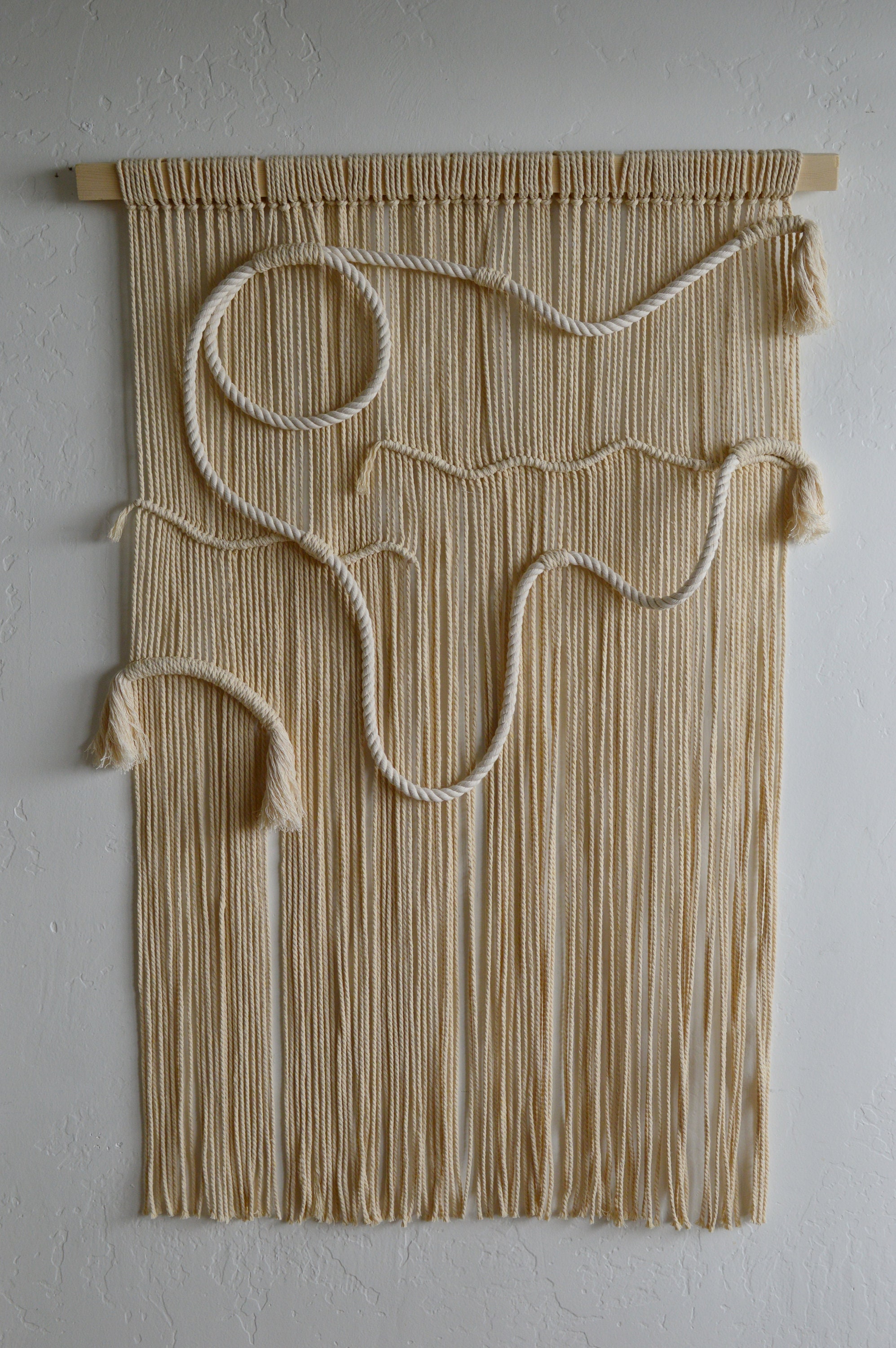 Rope Sculpture Macrame Wall Hanging - Etsy