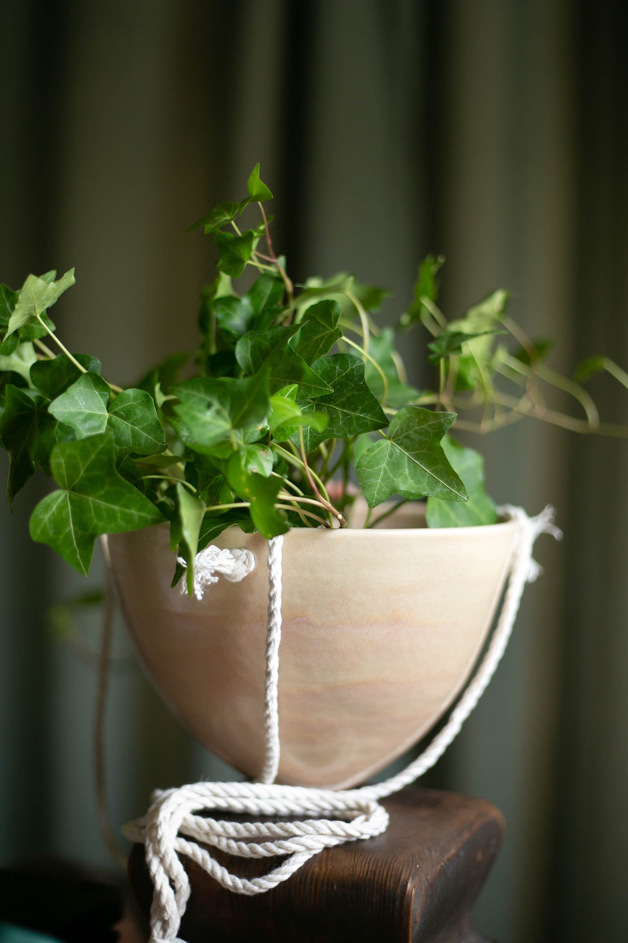 Hanging Bullet Planter Large Pink Matte White Speckled - Etsy