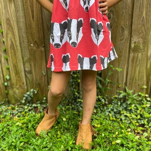 University of Wisconsin Dress, Baby Dress, Toddler Dress, Girl Dress ...