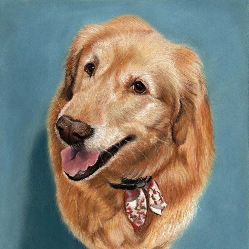 Custom Pet Drawing - Etsy