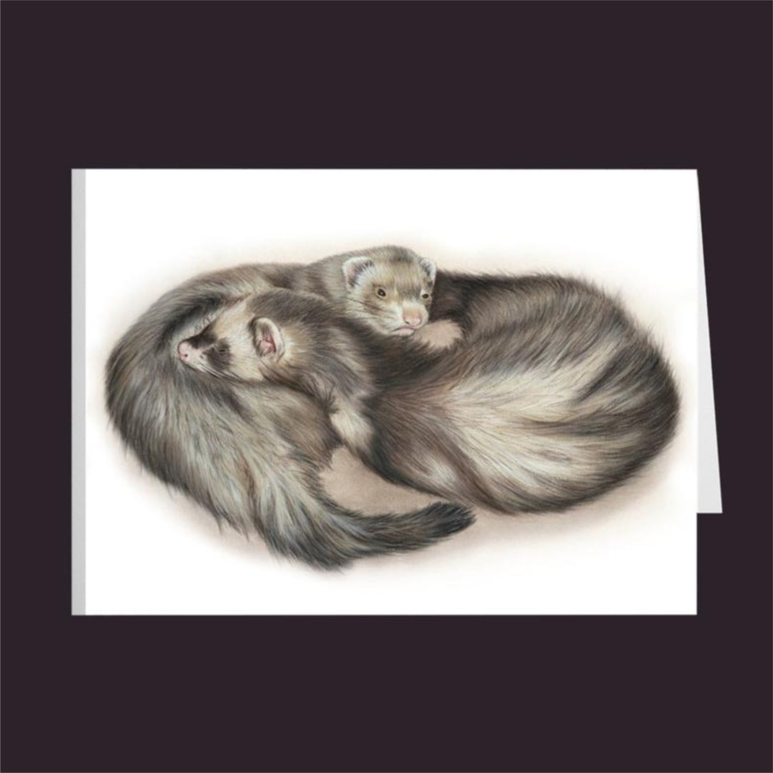 Ferret, Ferrets, Ferret Cards, Blank Card, Ferret Greeting Cards ...