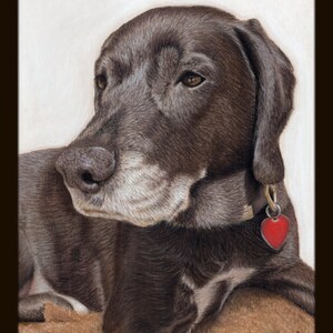 BESPOKE BLACK LAB Pet Portrait - Hand Drawn Labrador Portrait for Pet ...