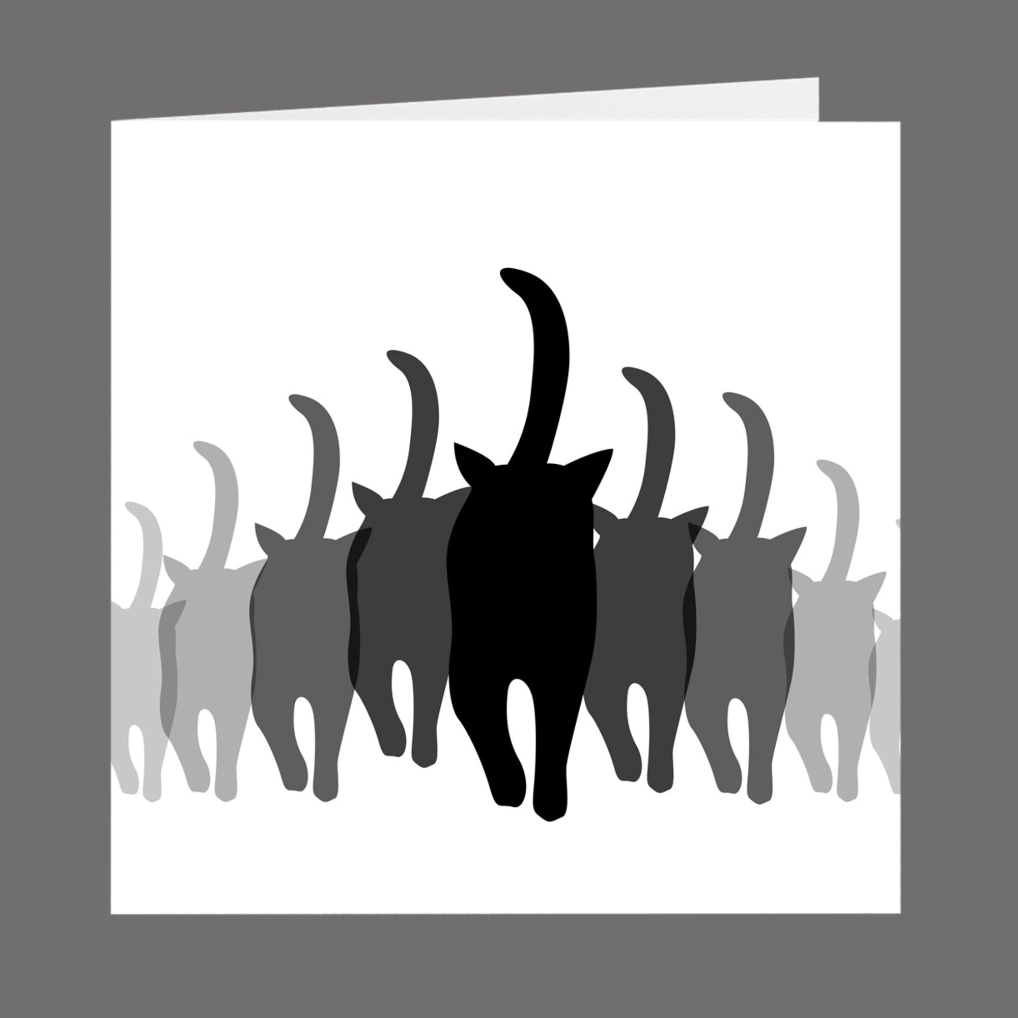 Black Cat, Notecards, Cat Cards, Blanks Cards, Cat Lover Gift Women ...