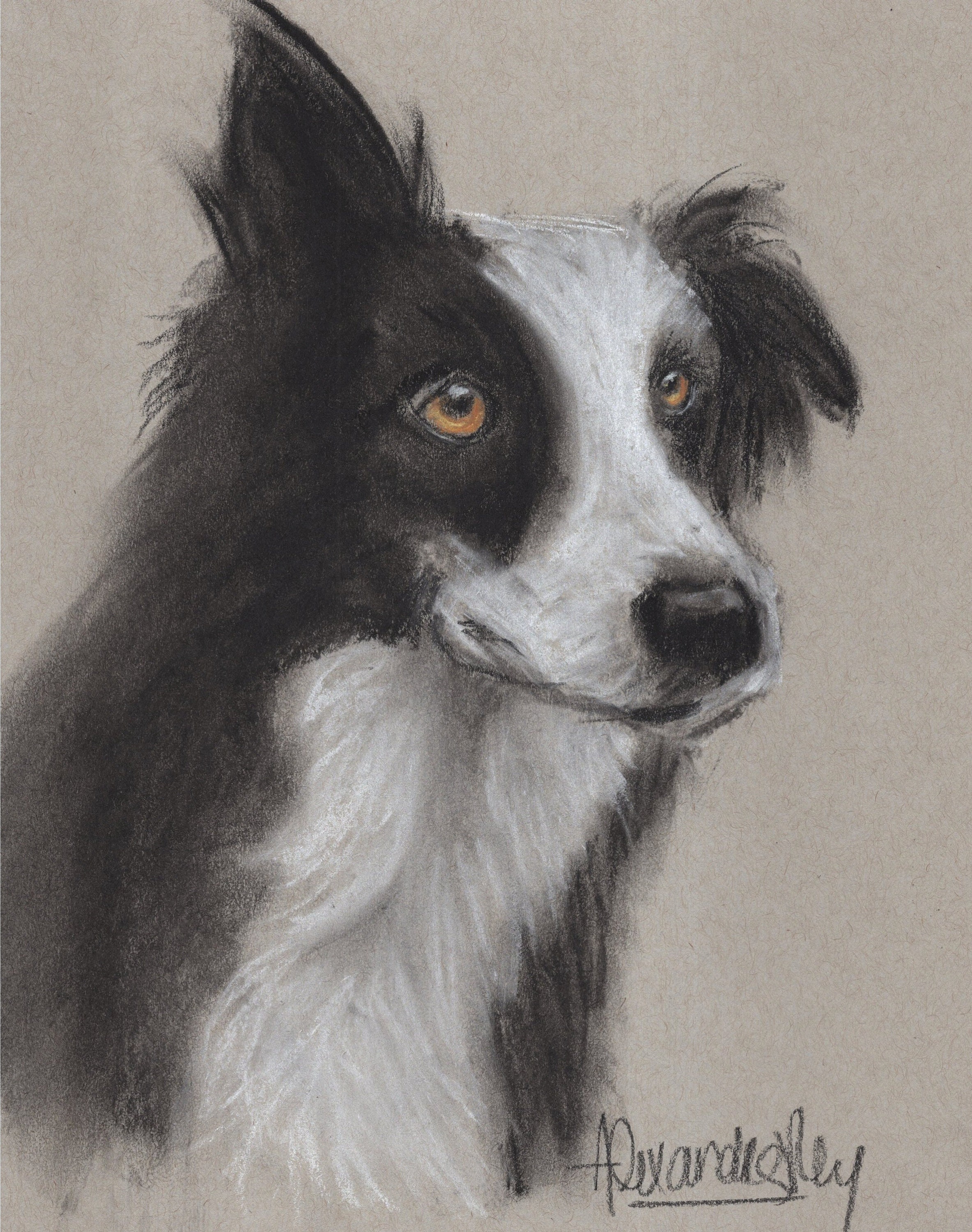 CHARCOAL PET PORTRAIT Hand Drawn Dog Portrait Dog Portrait | Etsy