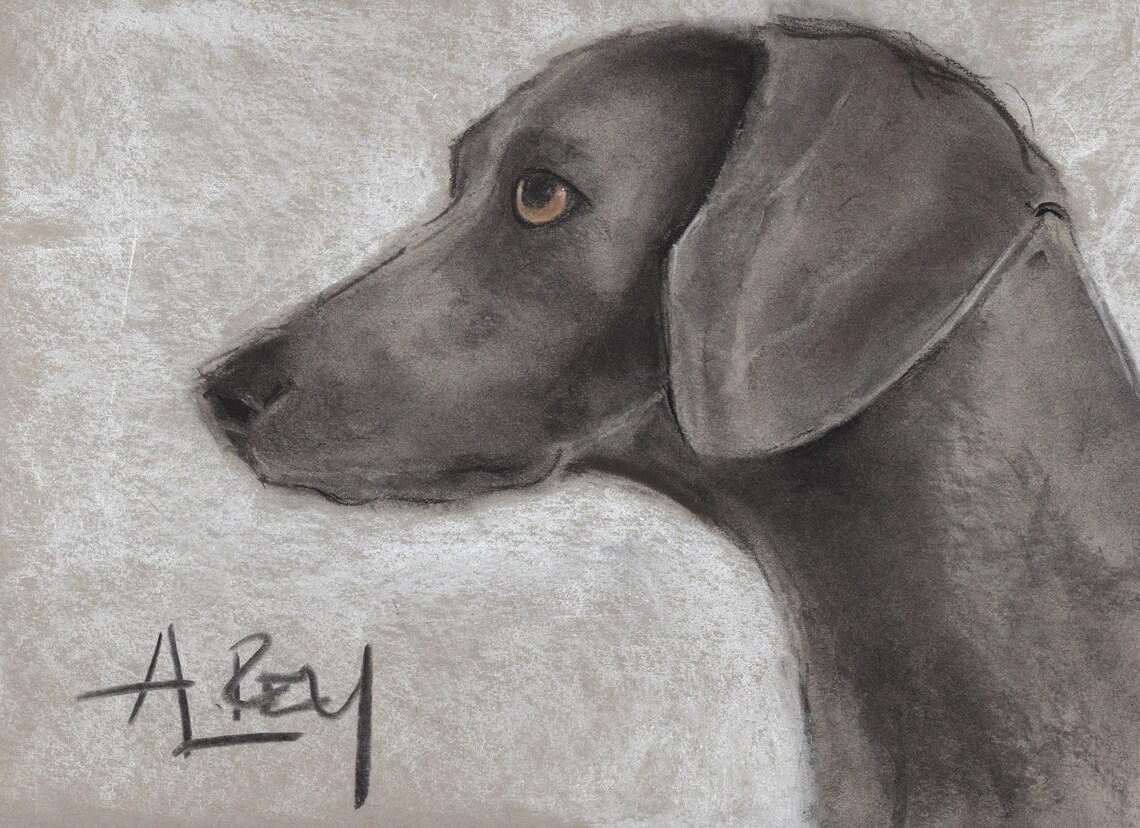 CHARCOAL PET PORTRAIT Hand Drawn Dog Portrait Dog Portrait | Etsy