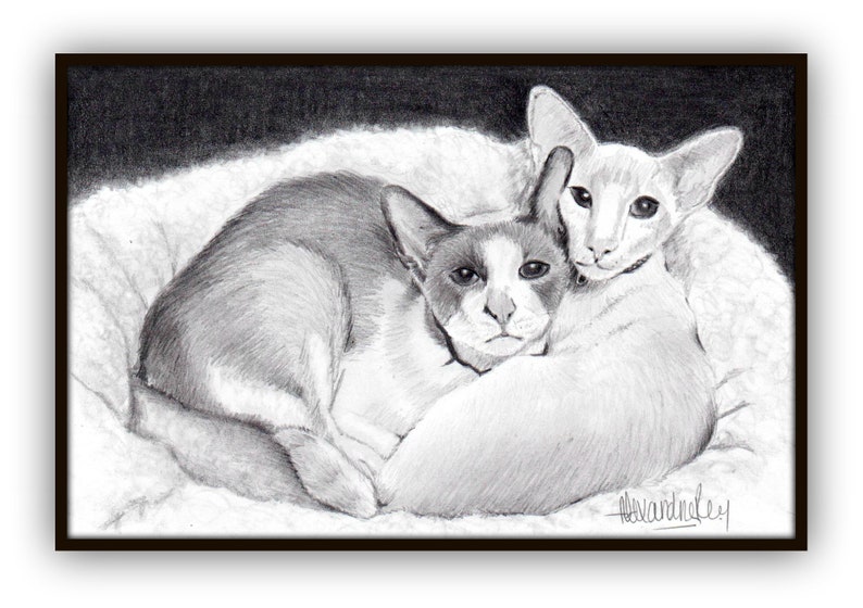 MULTIPLE PETS PORTRAIT From Your Favorite Photo Original Art - Etsy