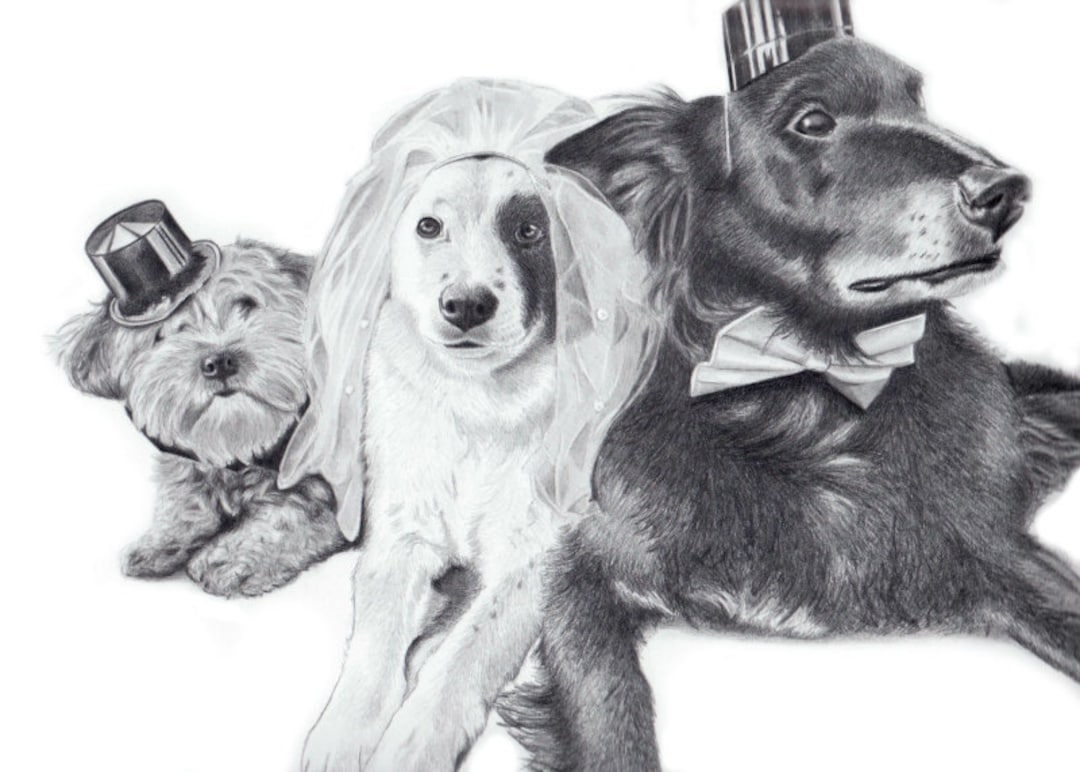 Multiple Custom Dog Drawing, Multiple Pet Portrait From Photo, Daughter ...
