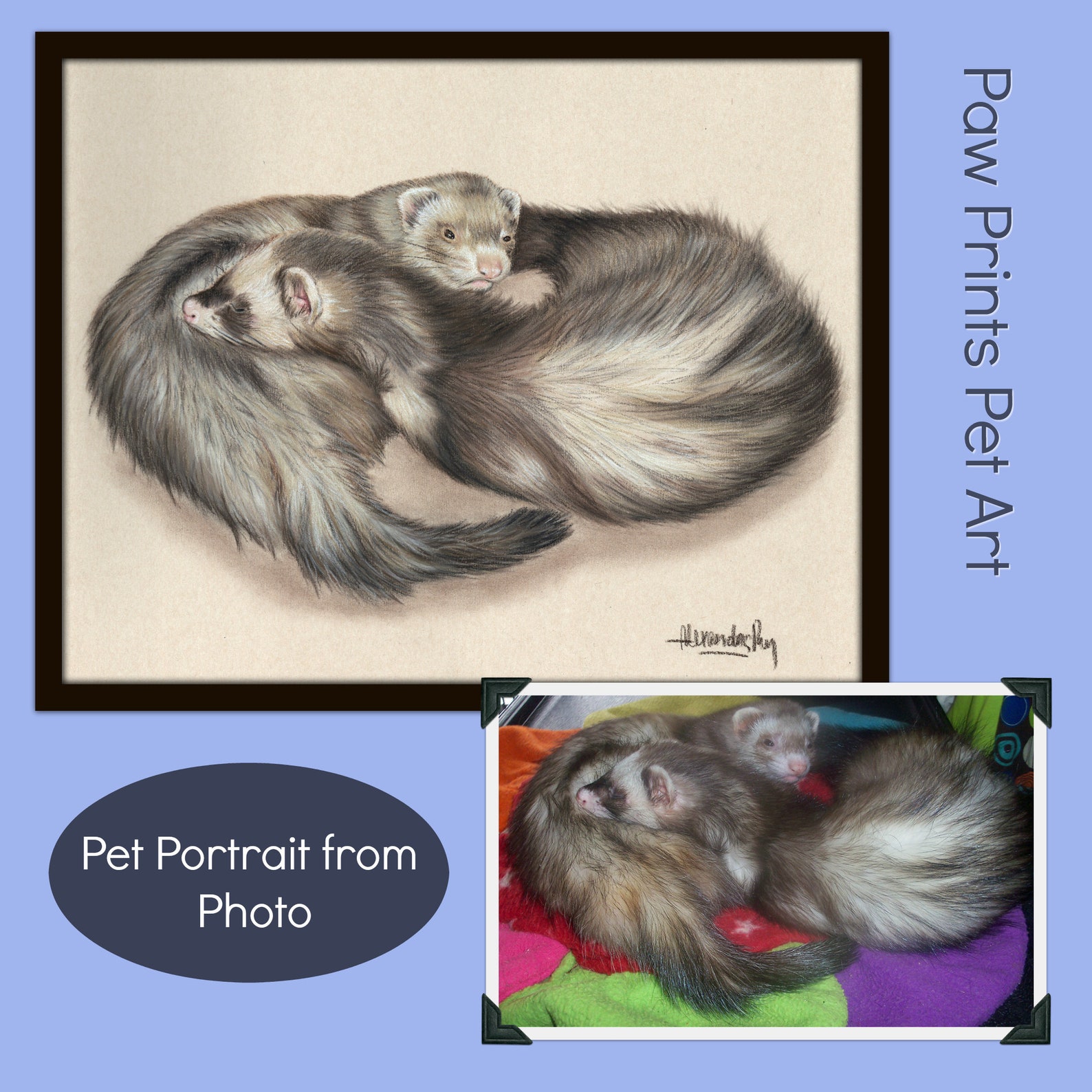 FERRET GIFT, Ferret, Ferret Lover Gift, , Portrait From Photo, Ferret ...