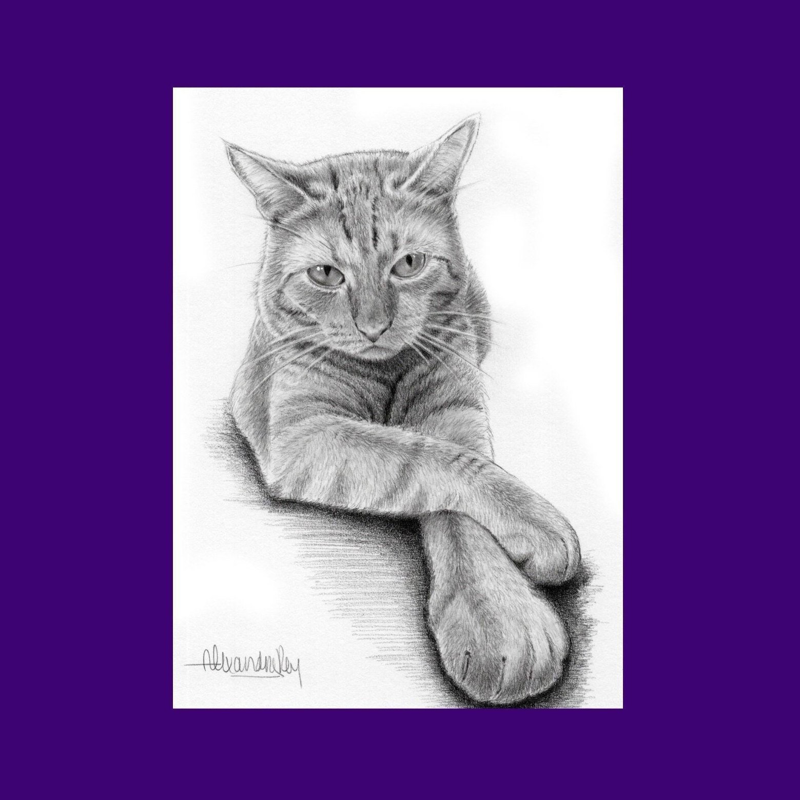 Custom Cat Drawing from photo Pet drawing Cat Memorial Pet | Etsy