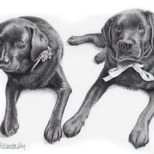 MULTIPLE PETS PORTRAIT From Your Favorite Photo, Original Art, Dog ...