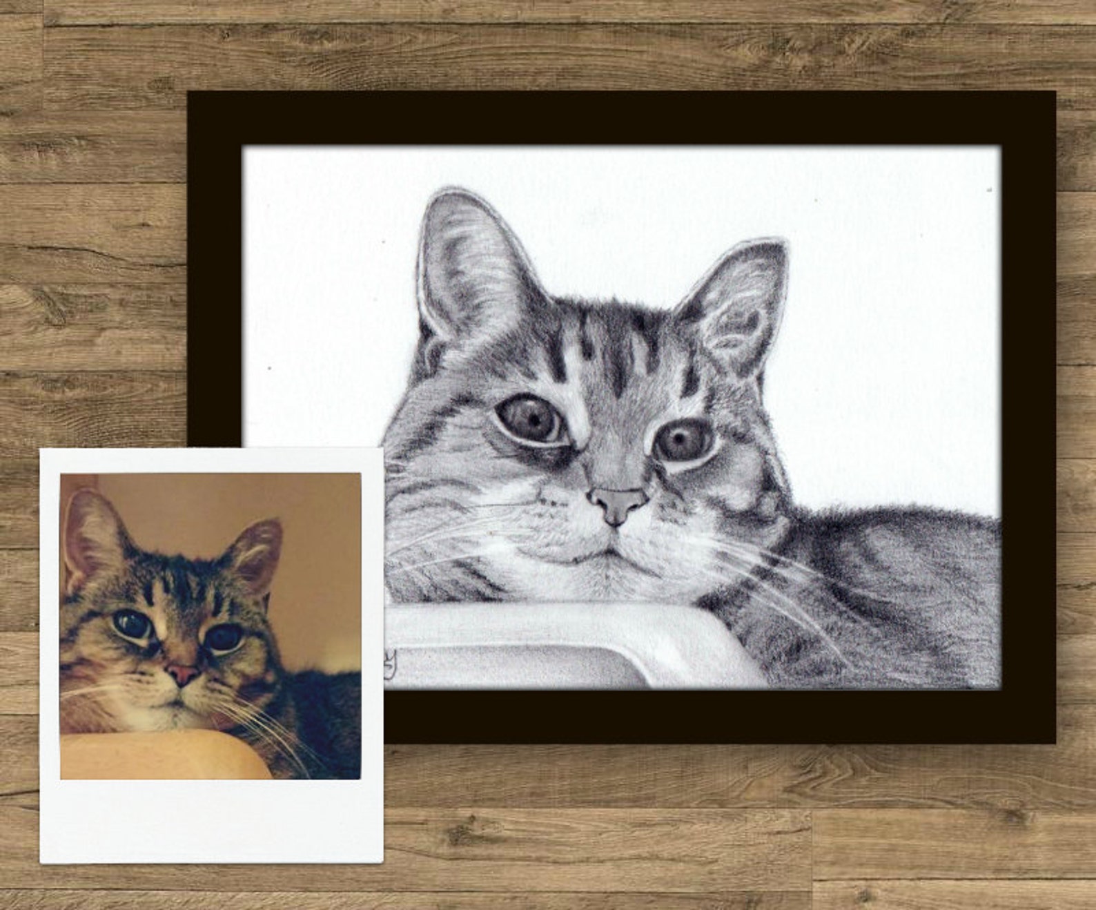 Custom Cat Drawing from photo Pet drawing Cat Memorial Pet | Etsy