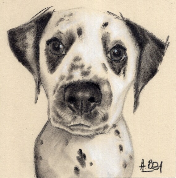 CHARCOAL PET PORTRAIT Hand Drawn Dog Portrait Dog Portrait | Etsy