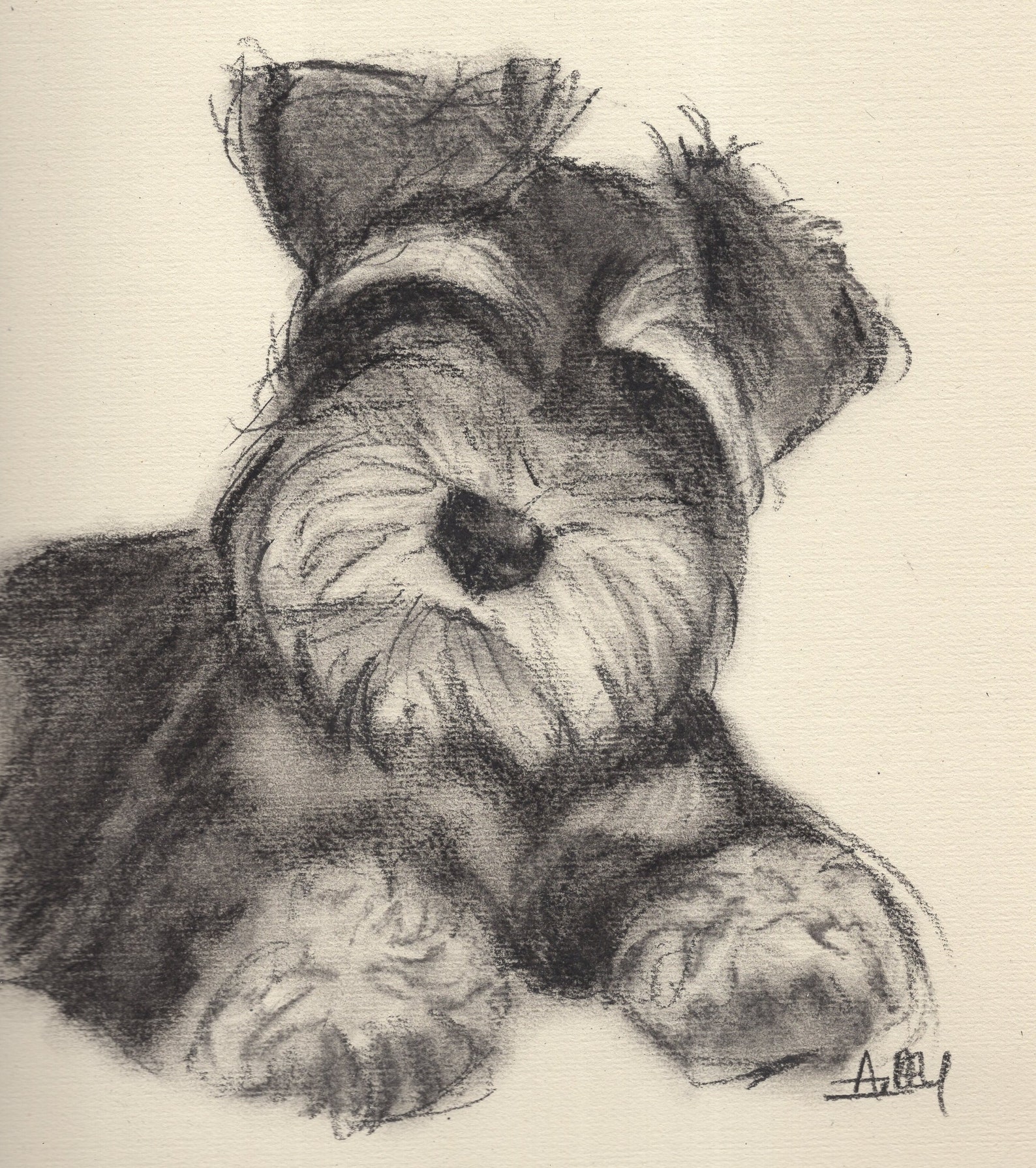 CHARCOAL PET PORTRAIT Hand Drawn Dog Portrait Dog Portrait - Etsy