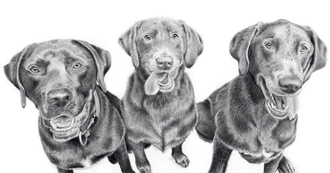 MULTIPLE PETS PORTRAIT From Your Favorite Photo, Original Art, Dog ...