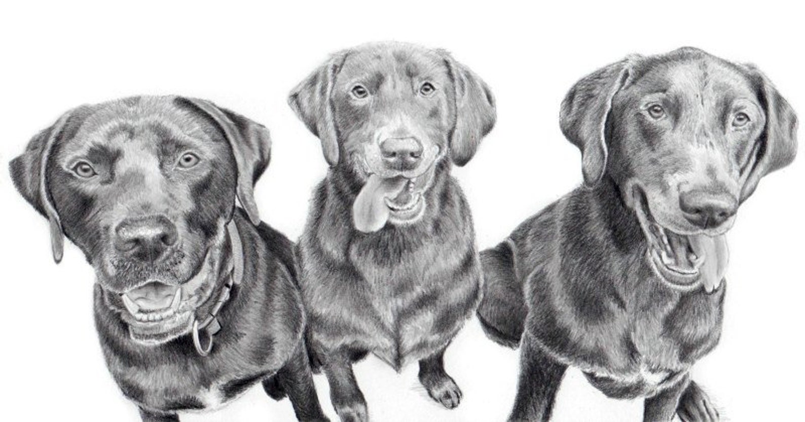 MULTIPLE PETS PORTRAIT From Your Favorite Photo, Original Art, Dog ...