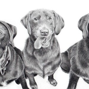 MULTIPLE PETS PORTRAIT From Your Favorite Photo, Original Art, Dog ...