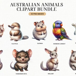 Australian Animals Clipart Bundle, 32 PNG Exotic Wildlife Images ...