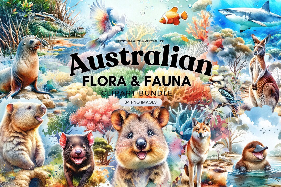 Australian Wildlife & Nature Clipart - High-res PNG Bundle for Design ...