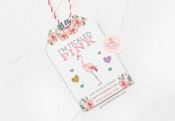 Flamingo Valentines Day Gift Tags, Tickled Pink Printable Editable Kids ...
