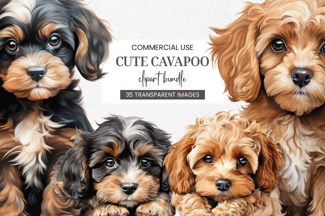 Cavapoo Watercolor Clipart: Dog Breed PNG Portraits (commercial Use) - Etsy