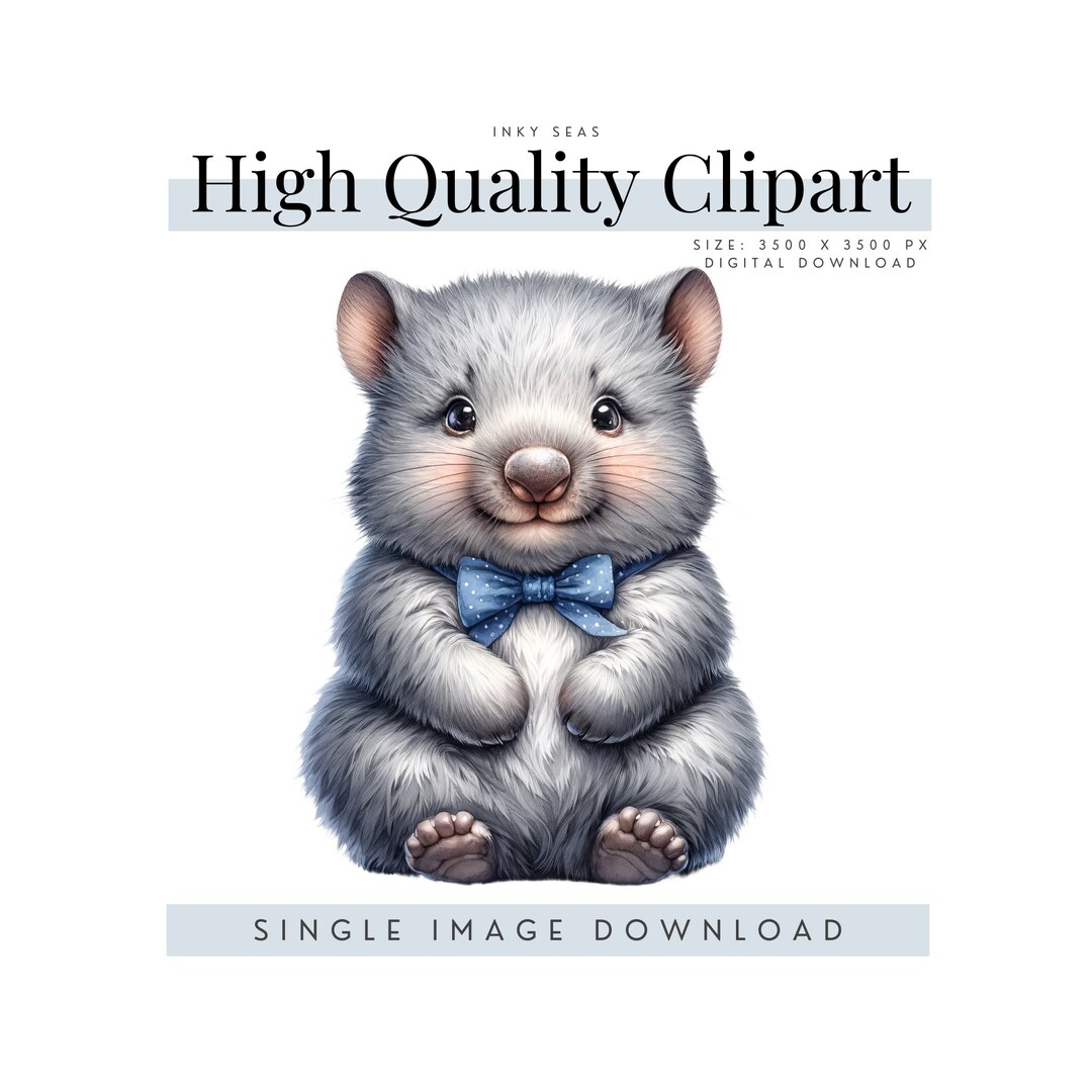 Wombat Clipart, Cute Animal Digital Download, High Quality Australian ...