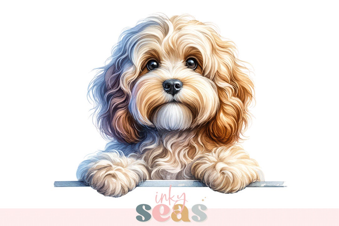 Cavapoo Clipart, Adorable Peeking Dog Watercolor Illustration PNG, 300 ...