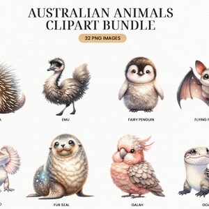 Australian Animals Clipart Bundle, 32 PNG Exotic Wildlife Images ...