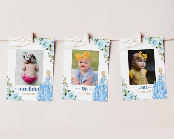 Cinderella First Birthday Photo Banner, Printable Monthly Milestone ...