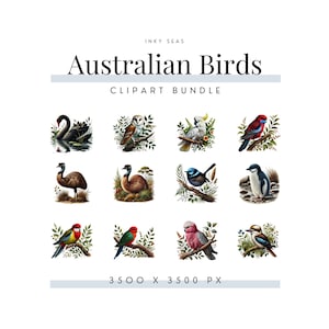 Australian Birds Clipart Collection, Watercolor Nature Elements, Aussie ...