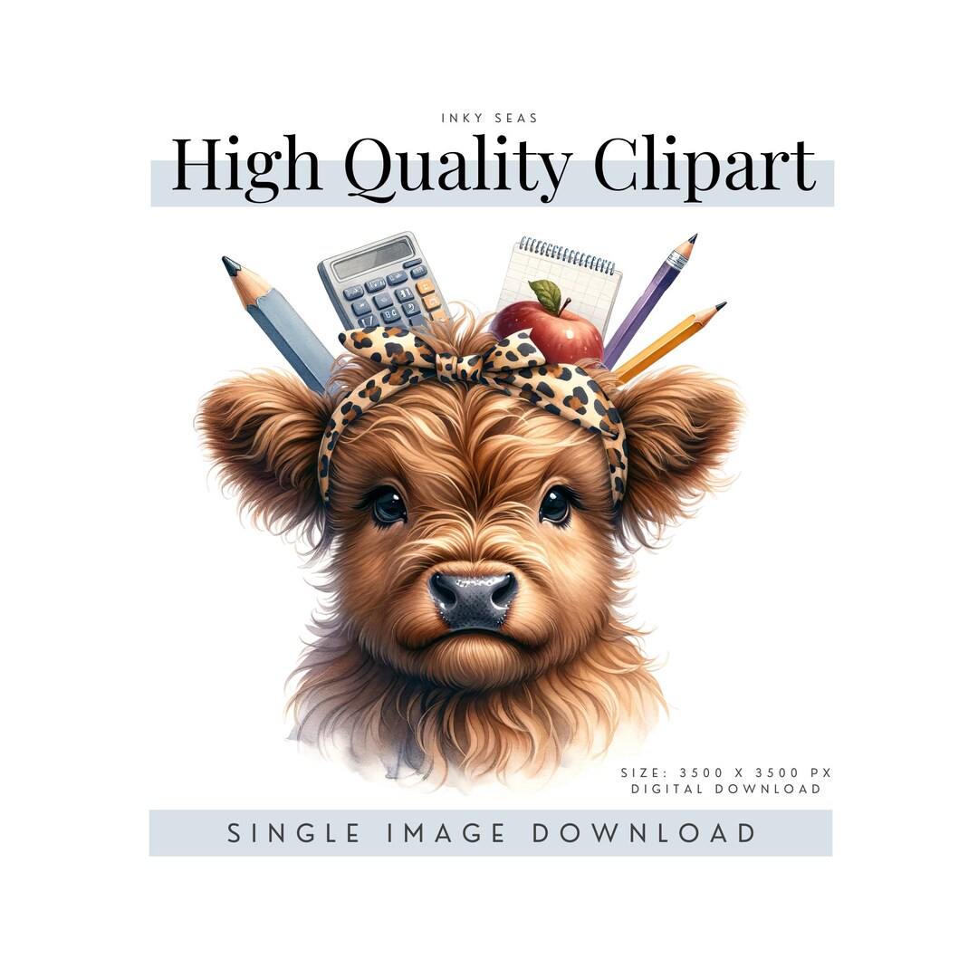 Highland Cow Art, School Supplies Illustration, Student Desk Decor ...