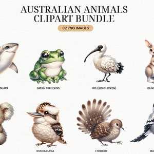Australian Animals Clipart Bundle, 32 PNG Exotic Wildlife Images ...