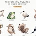 Australian Animals Clipart Bundle, 32 PNG Exotic Wildlife Images ...