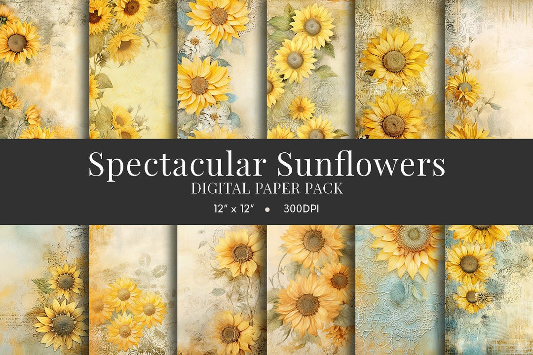 Sunflower Digital Paper Pack, Spectacular Sunflowers Scrapbook Paper ...