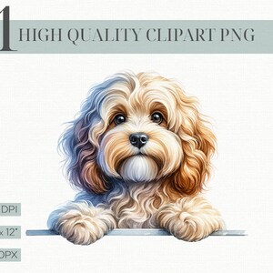 Cavapoo Clipart, Adorable Peeking Dog Watercolor Illustration PNG, 300 ...