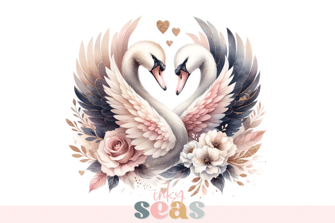 Romantic Swan Love Illustration, Digital Download, Valentine's Day PNG ...