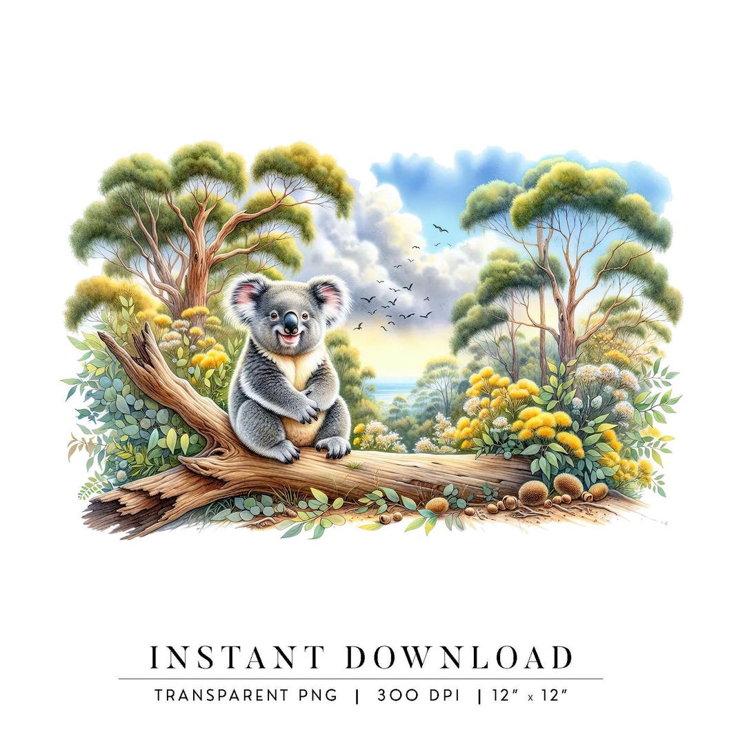 Cute Koala Clipart, Digital Download, Koala Illustration, Koala Art ...