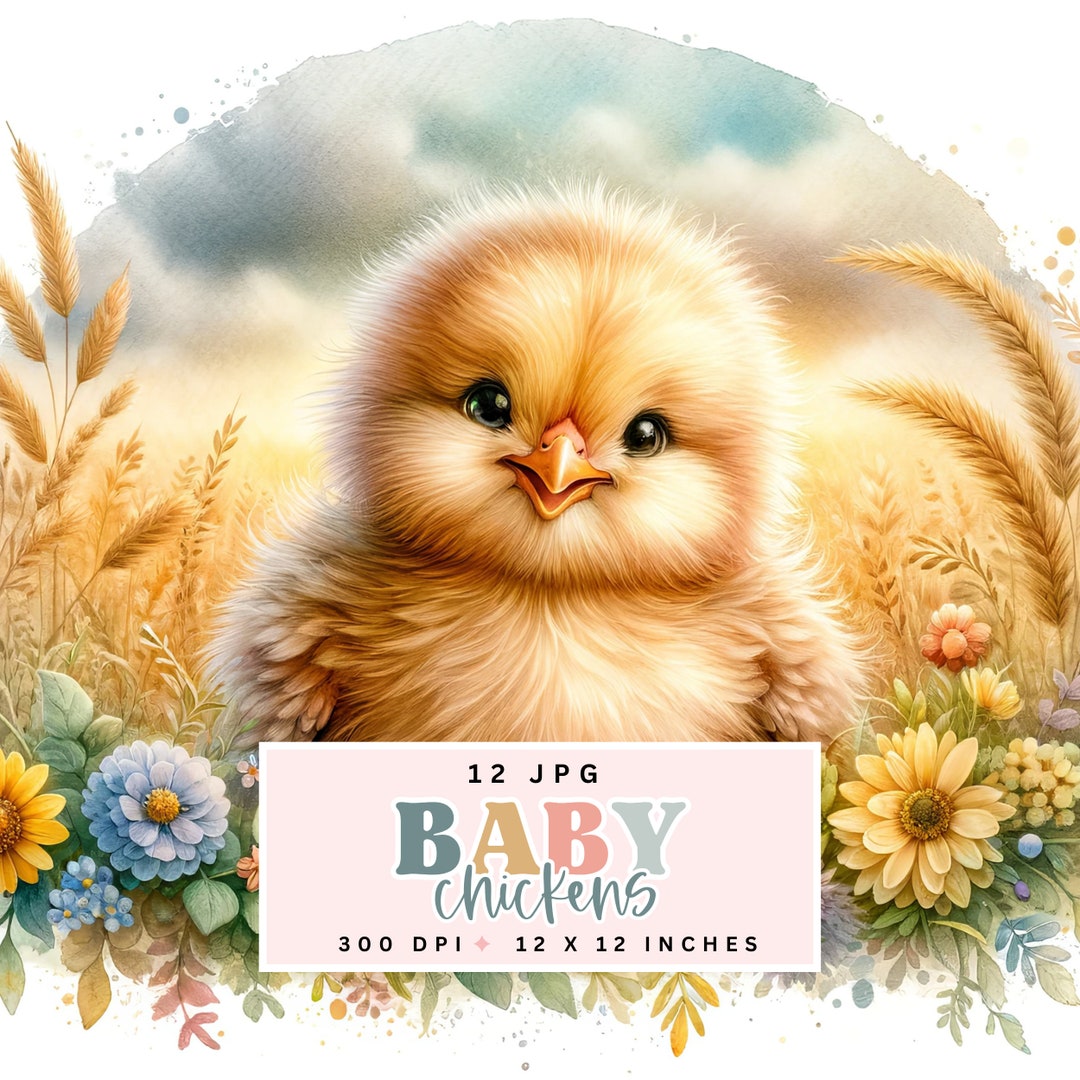 Baby Chicken Clipart, Cute Chick Illustration, Spring Scrapbooking ...