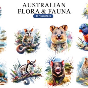 Australian Wildlife Clipart Bundle, Digital Aussie Icons PNG, Koala ...