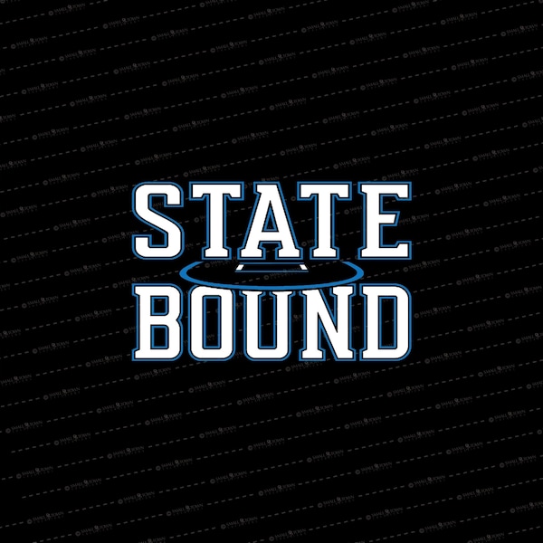 Wrestling State Qualifier Shirts - Etsy