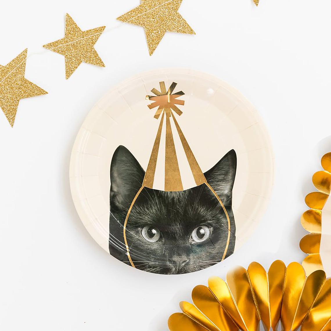 Cat Paper Plates Cat Party Cat Plates Cute Cat Birthday | Etsy