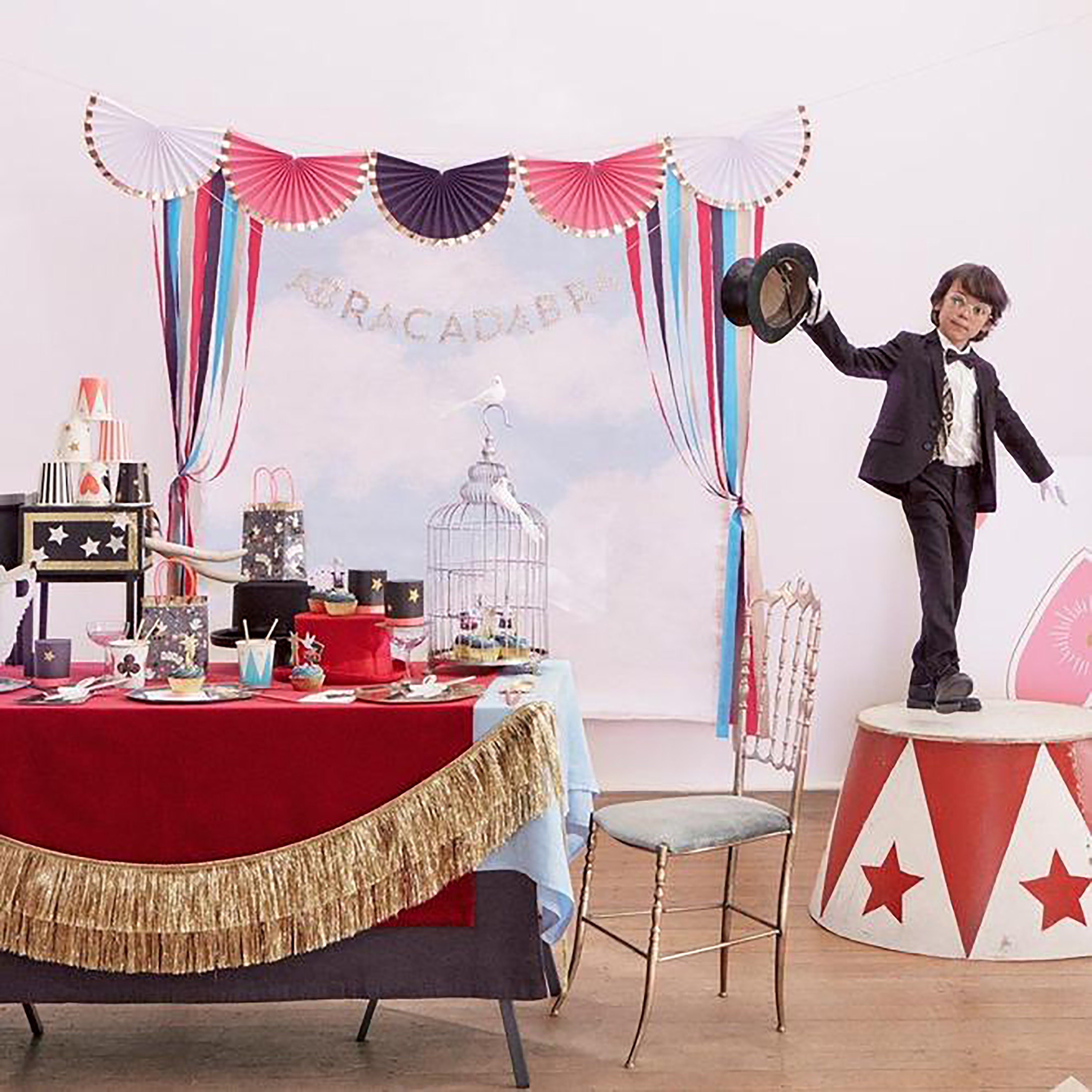 Rabbit in the Hat Magic Plates Magic Birthday Party | Etsy