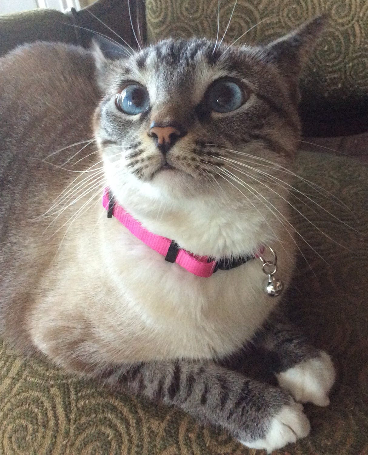 Twist Handle Sterling Silver Ladle With Aesthetic Engraved Bowl - Etsy