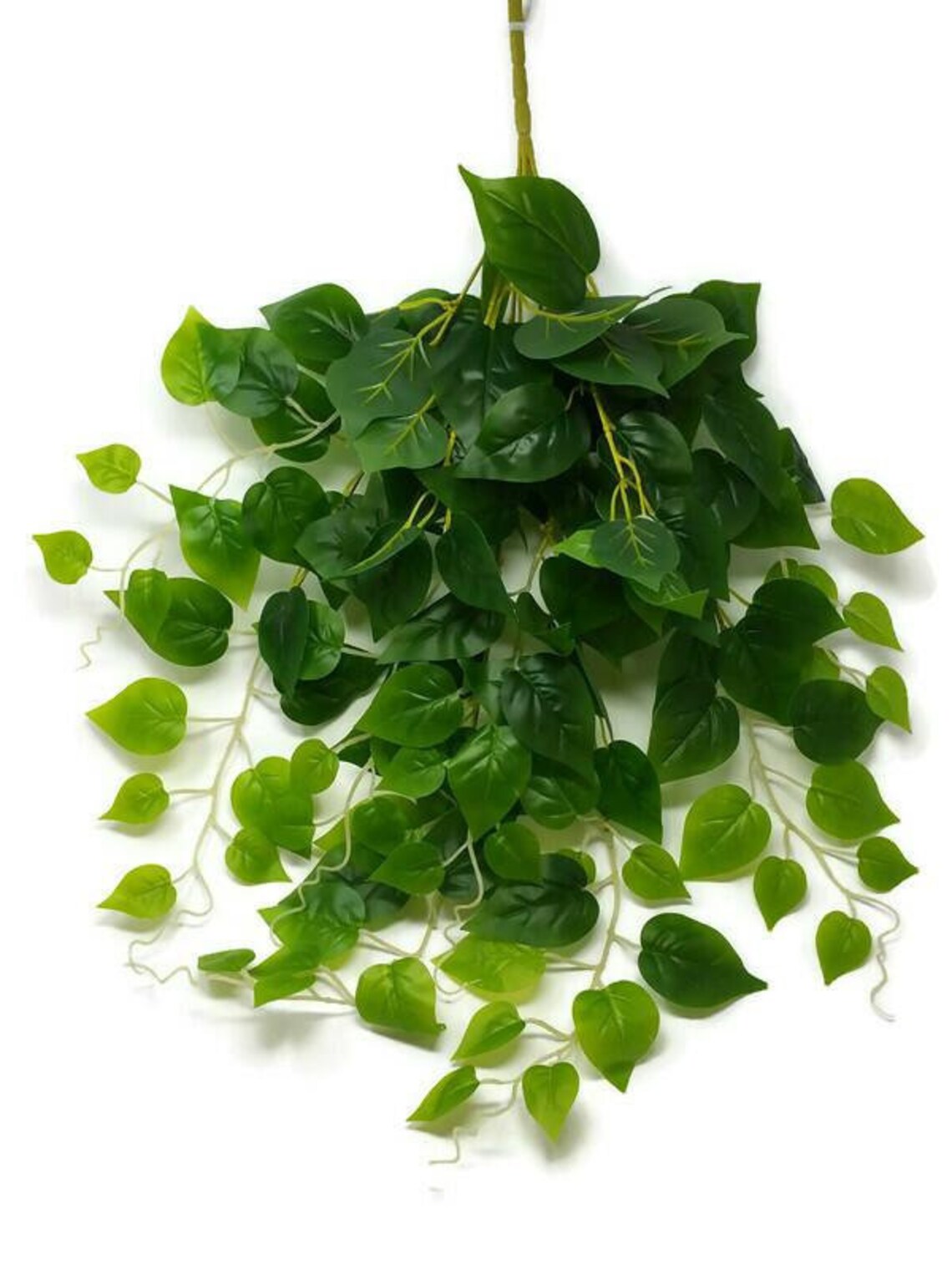 Artificial Trailing Green Philodendron X 70cm - Etsy